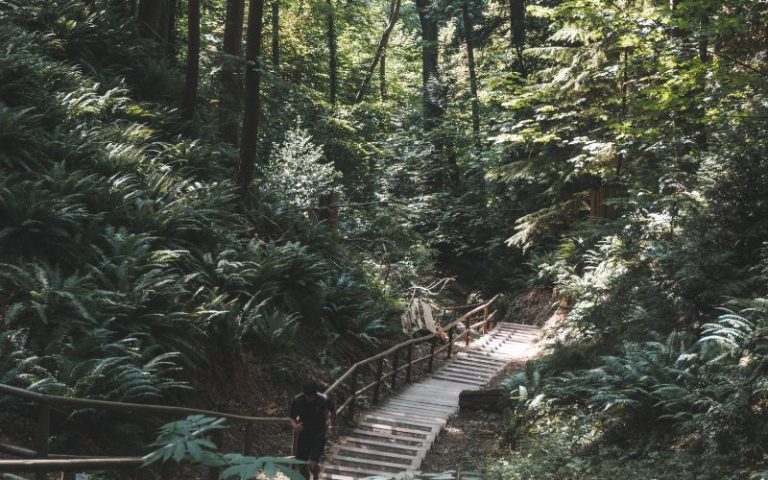 Must-Try Things to Do at Vancouver's Wreck Beach